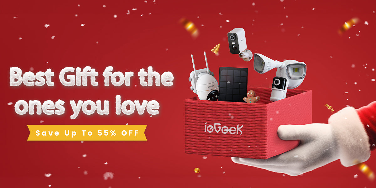 Christmas Gift Guide: Find the Perfect Security Cameras for Your Loved ...