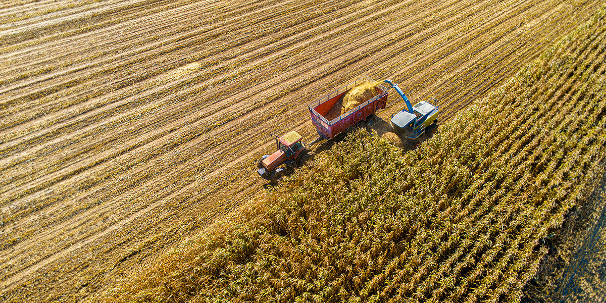 The Best Farm Security Cameras: A Buying Guide – ieGeek